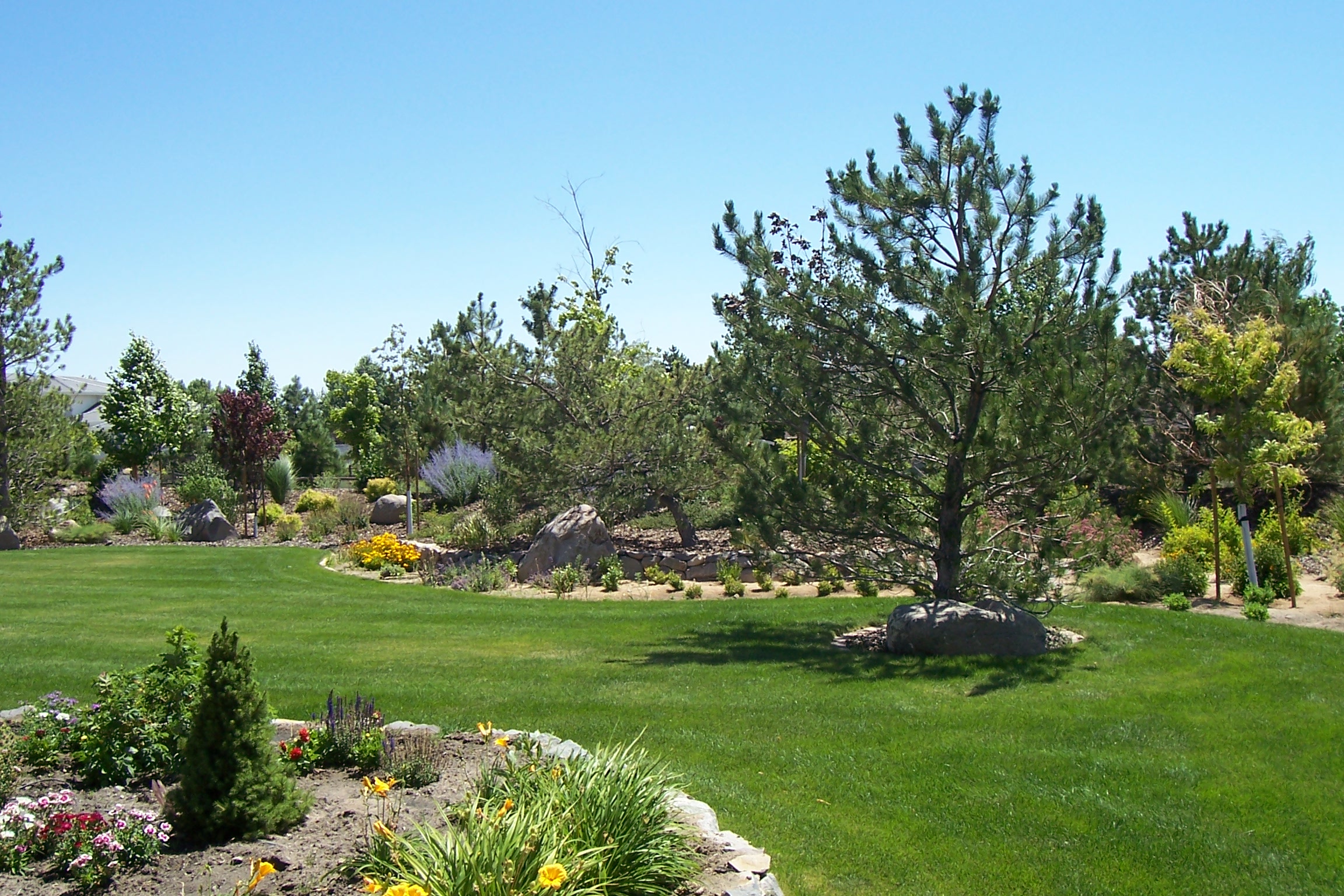 Lawn – Natural – Tom Schuster Landscape Concepts