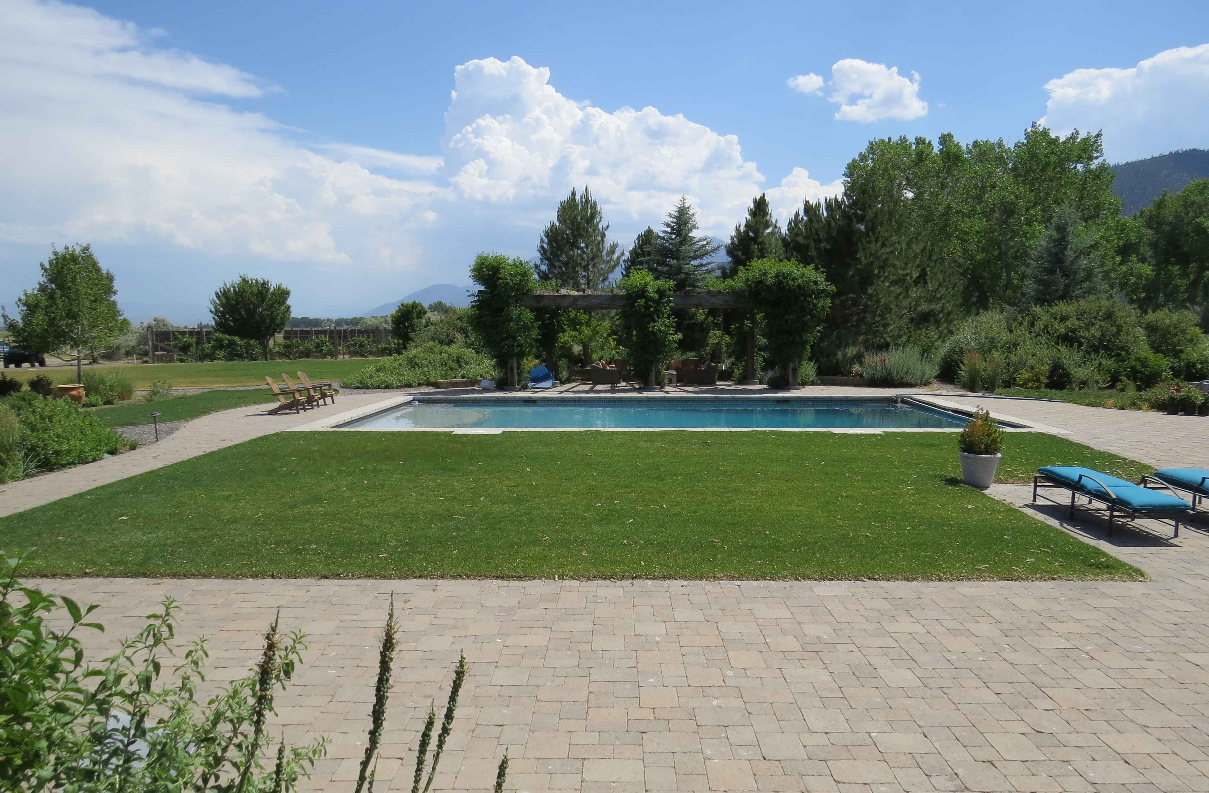 Lawn – Natural – Tom Schuster Landscape Concepts